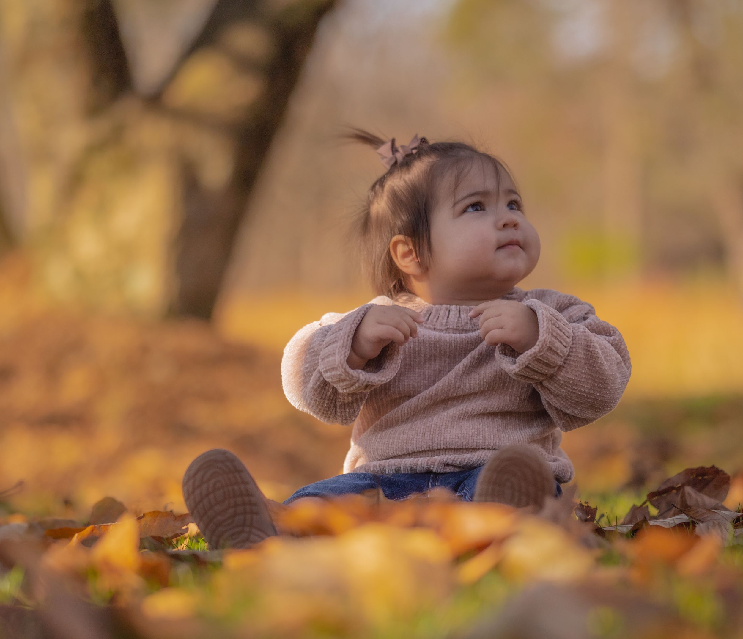 Joselynn Ashley Photography