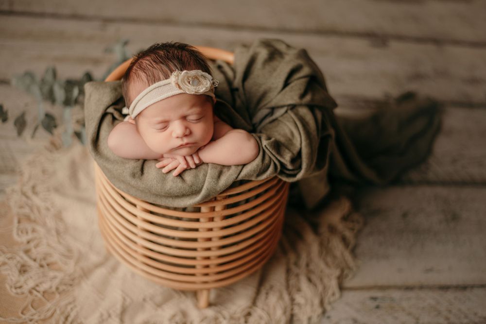 Portfolio - Bowen Arrow Images