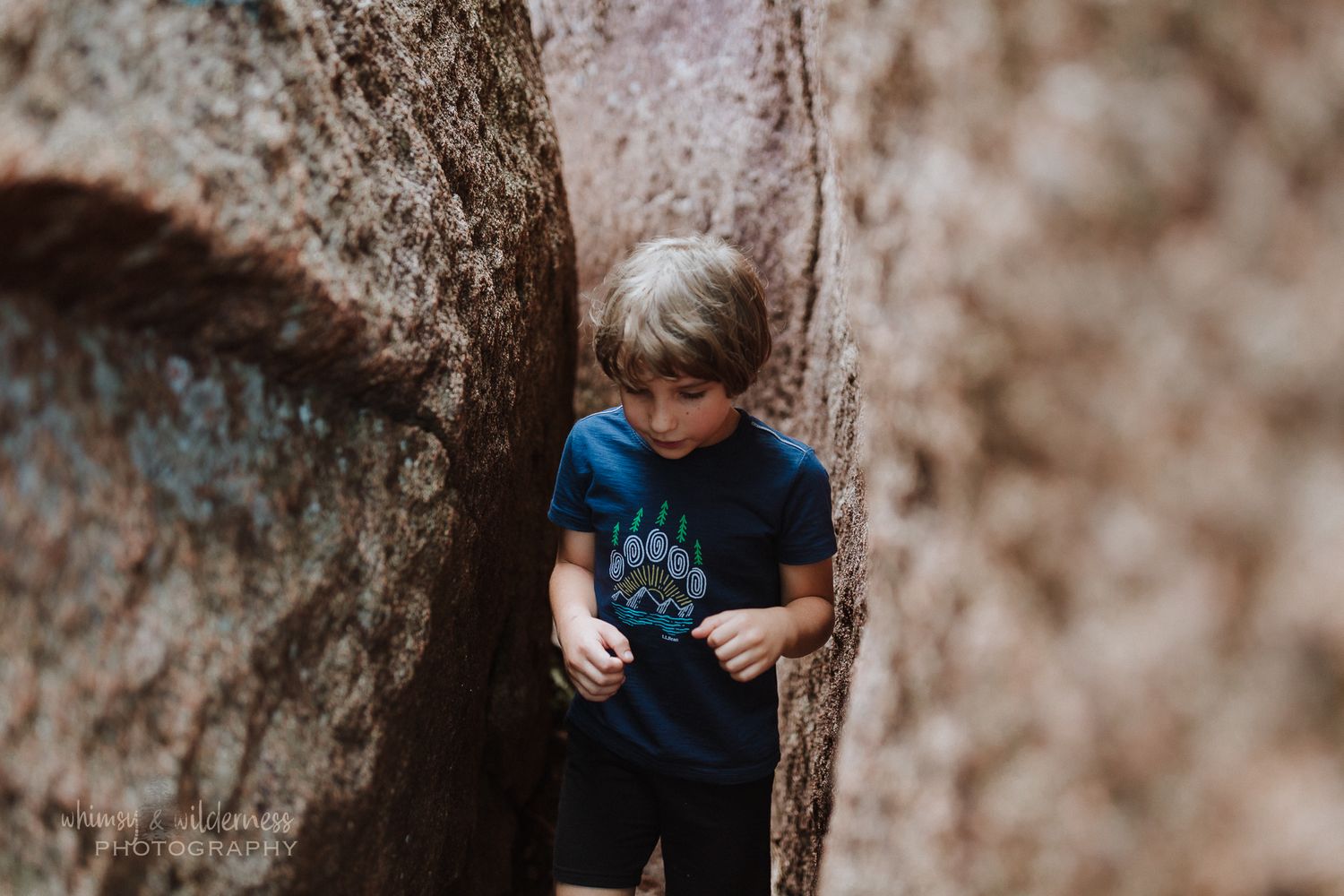 Trail Review: Dorr Mountain Ladder Trail - Whimsy & Wilderness Photography