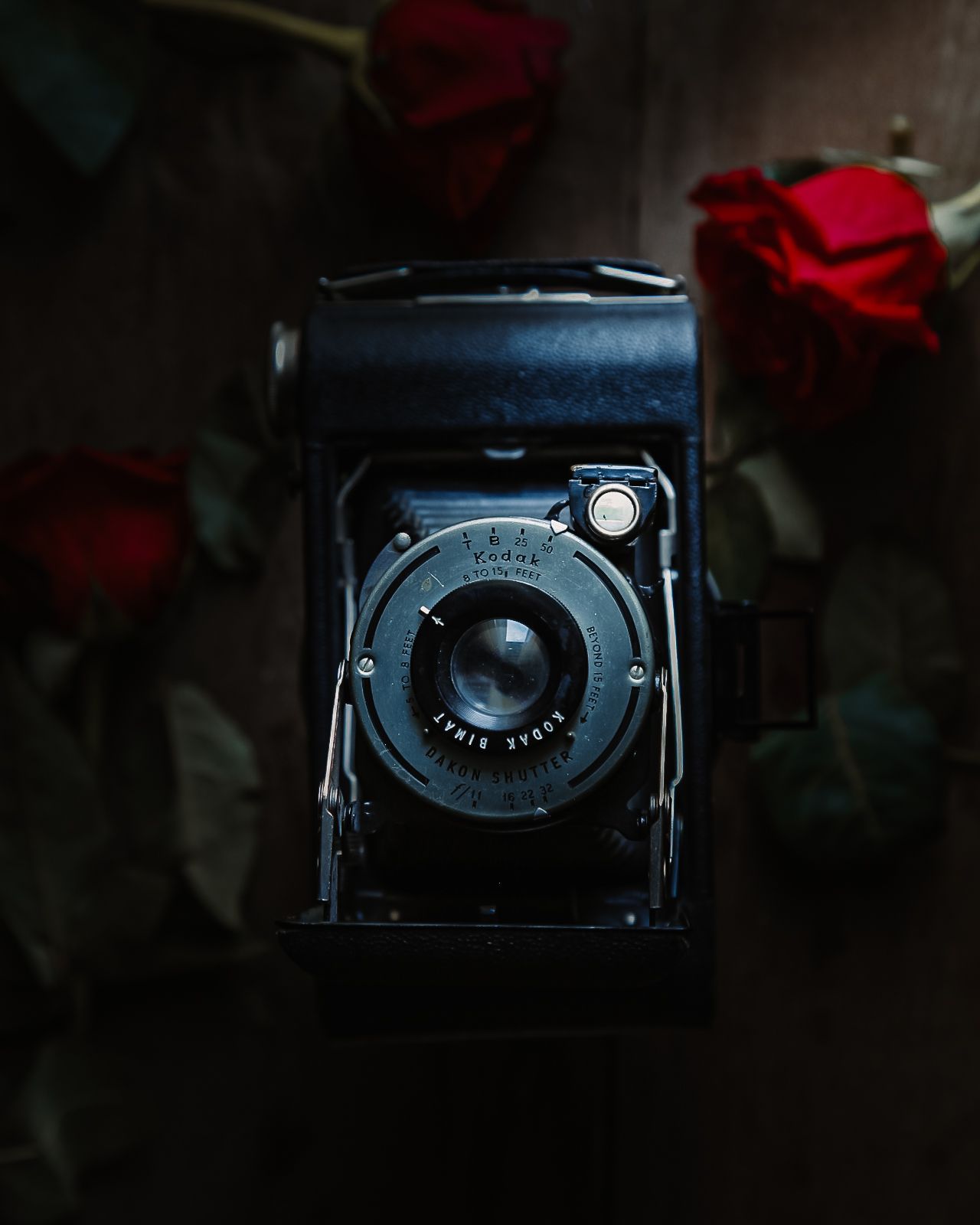 Product - The Simple Knot Photography