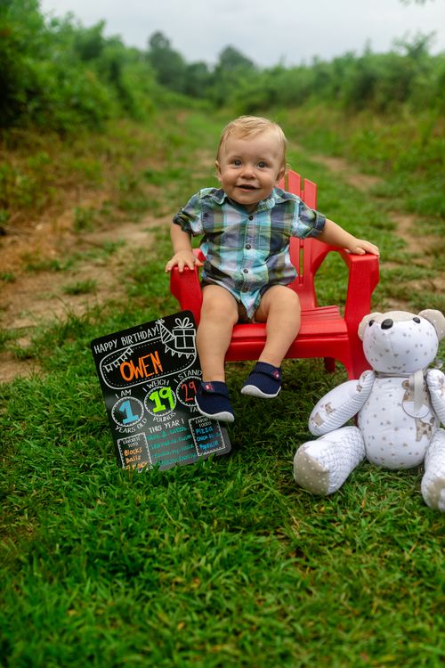 A Few Of My Favorite Things - Milestone Sessions - Willow Roots Photography