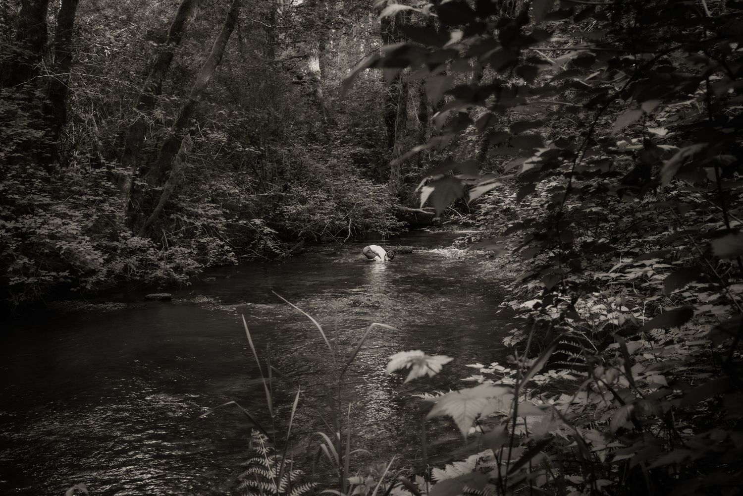 Dylan Boyd Photography