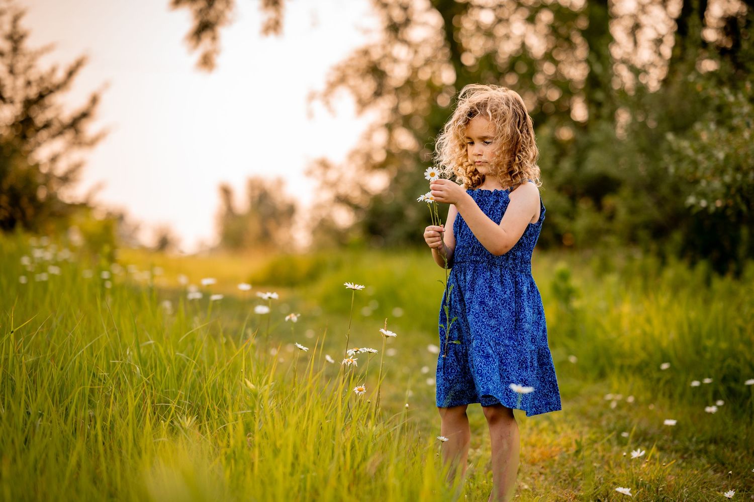 Portfolio - AP Photography