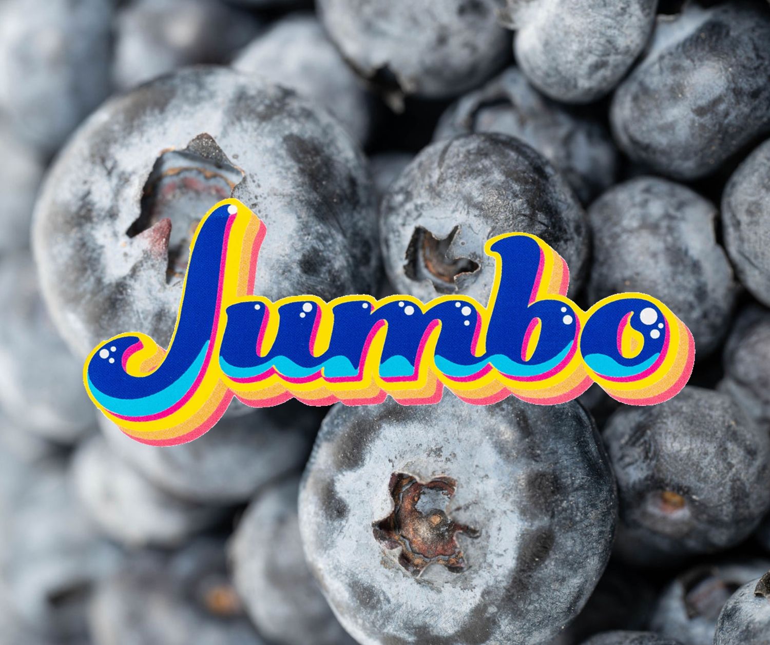 Videos, Videographer - Andi Fine Focus; Galloway New Jersey photographer