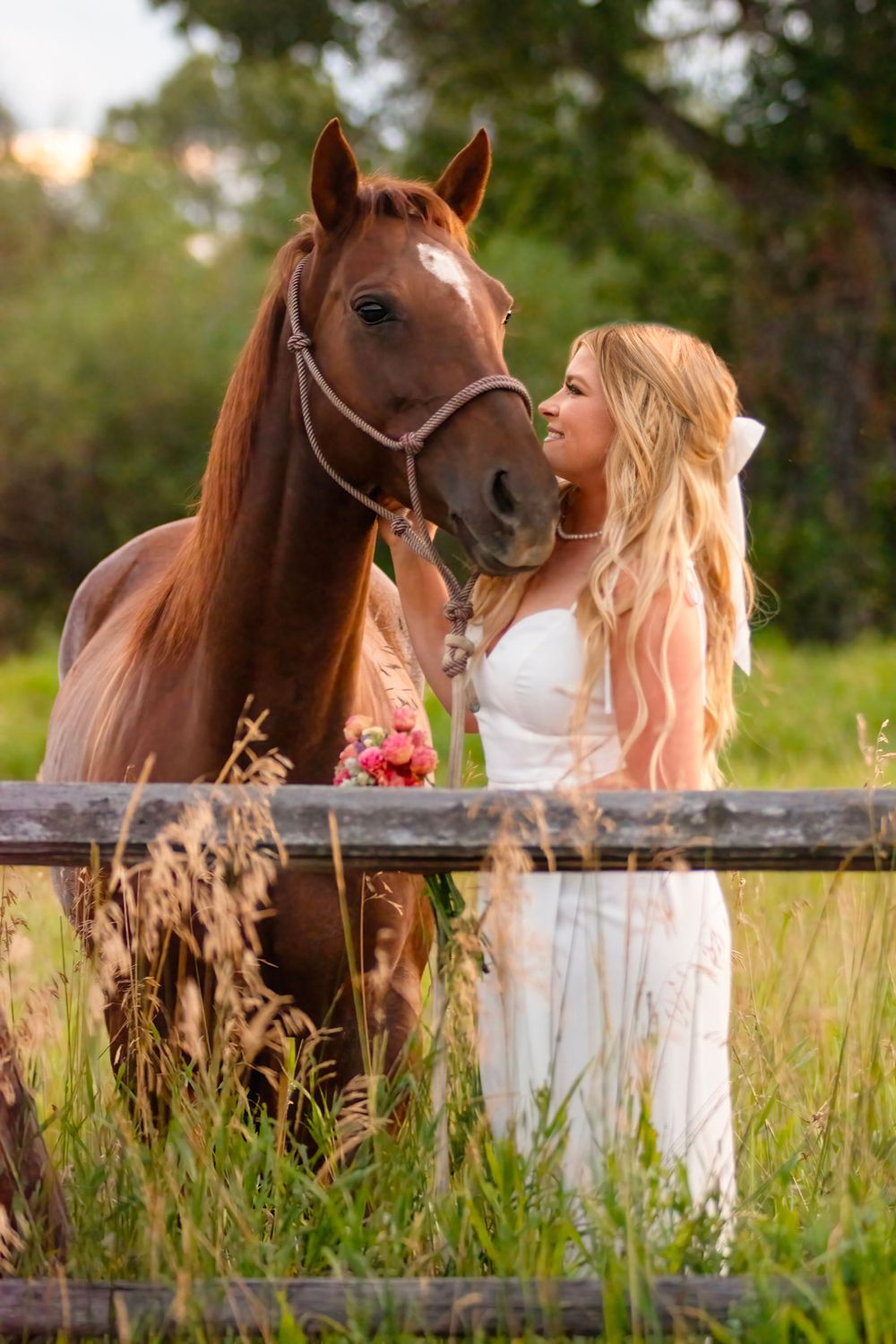Furry Friends - Shutterbug Photography
