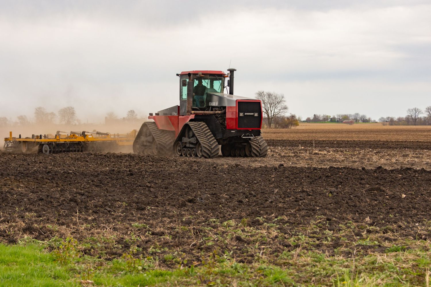 Farm Project Copy - Mary Paulius Photography
