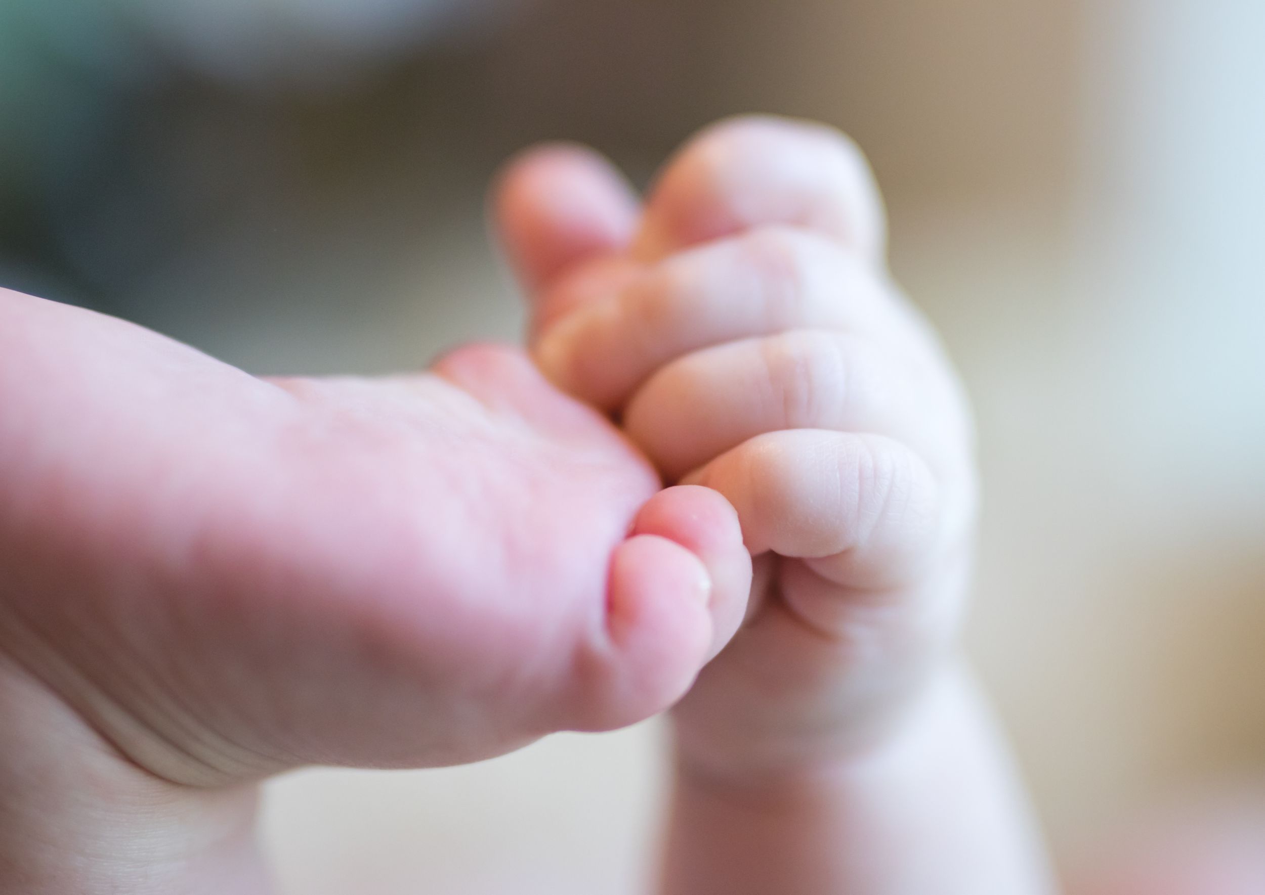 Maternity & Infant - Clover Laine Photography