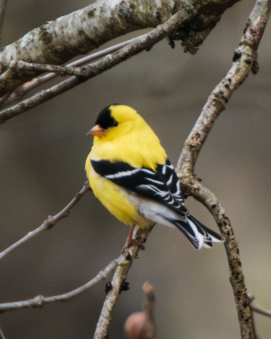 Travels - Robert Baxter Photography