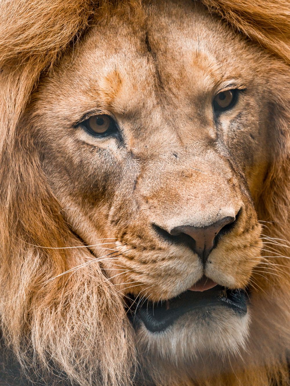 Travels - Robert Baxter Photography