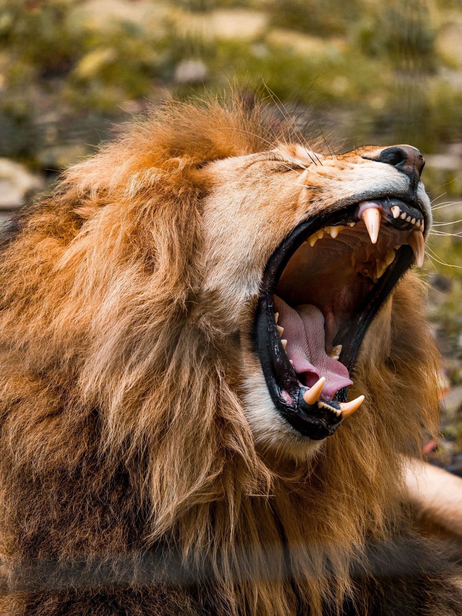 Travels - Robert Baxter Photography