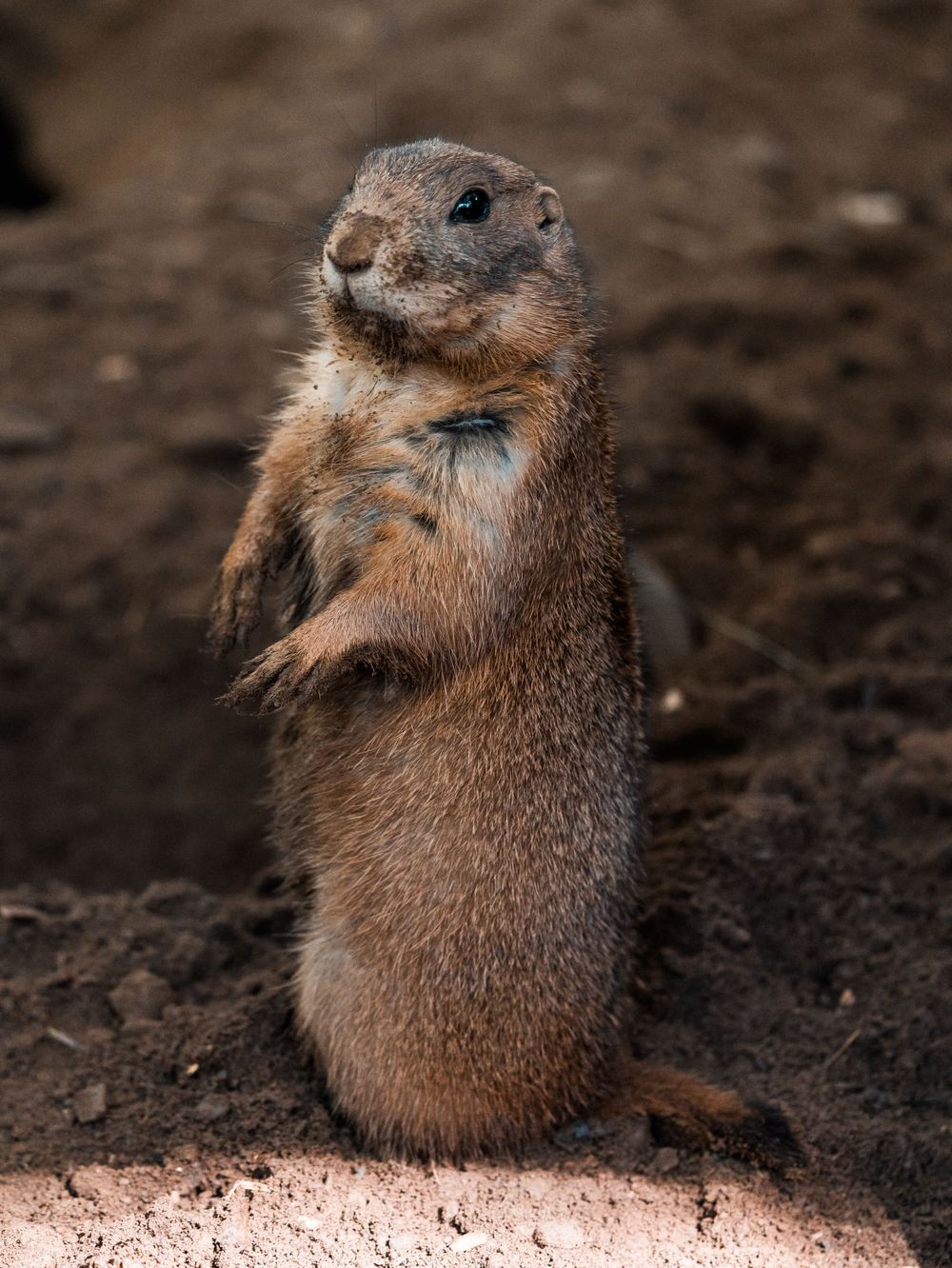 Travels - Robert Baxter Photography