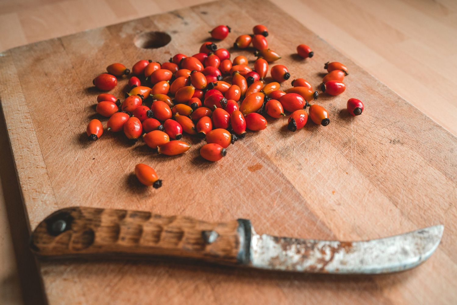 Rosehip - The Grizzly Forager: The Definitive Guide to Foraging with Kids