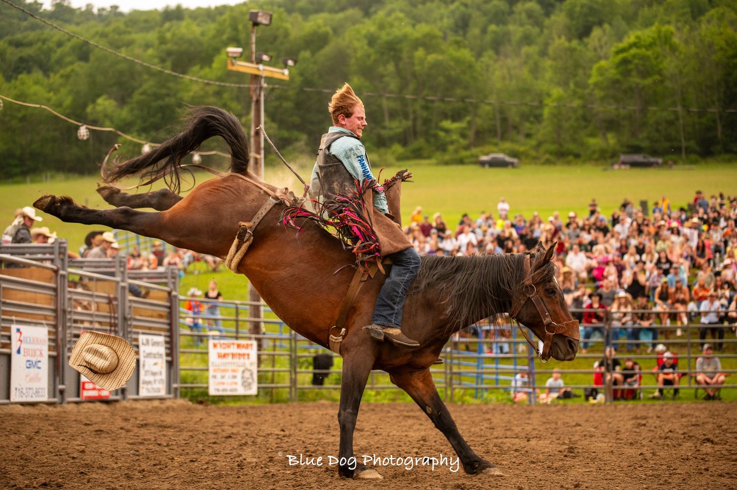 All American Rodeo Company - Blue Dog Photography