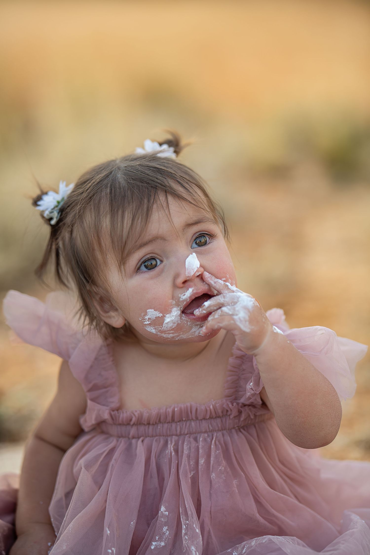 Portfolio - SPLAT Photography by Tahlia O'Cass