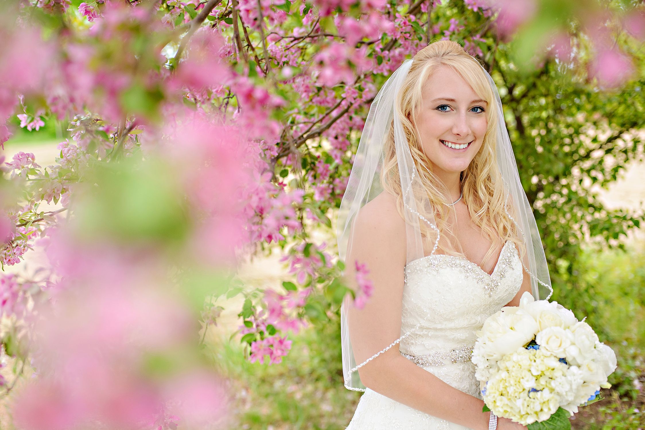 Purrington Photography Bemidji Photographer