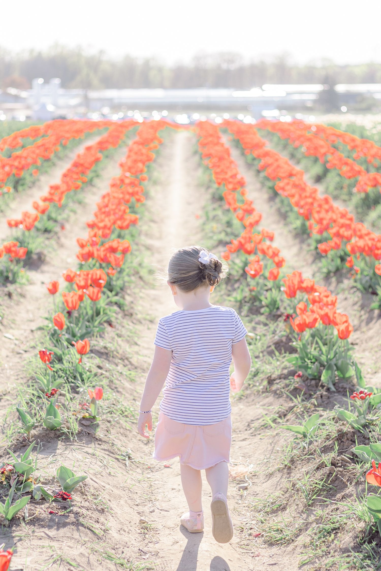 Capturing Childhood Magic: A Tulip Field Photoshoot in Niagara ...
