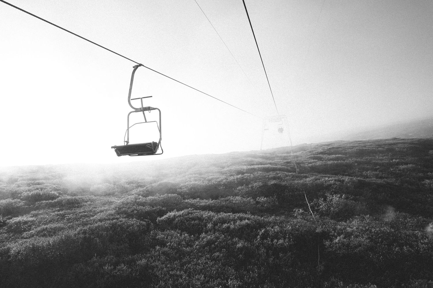 Black & white - Robert Frick