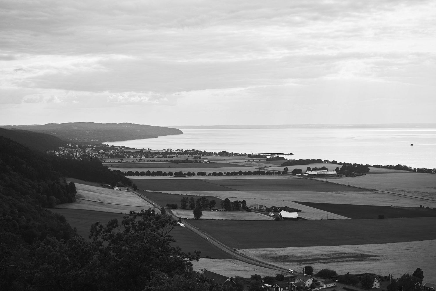 Black & white - Robert Frick