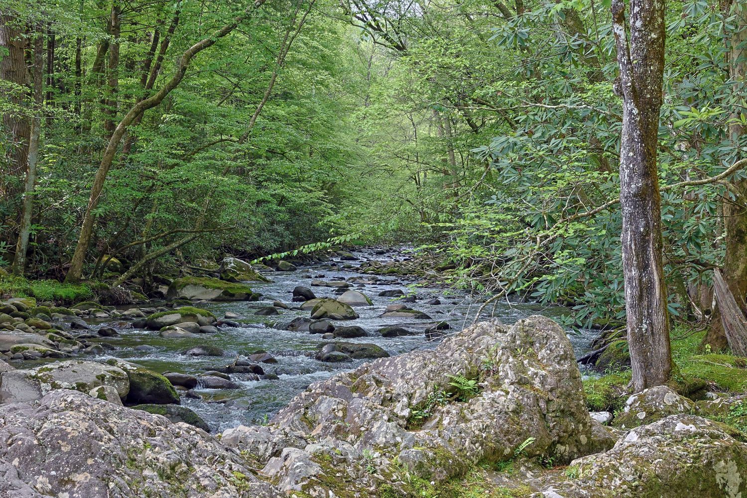 About Me - Acorn Studios