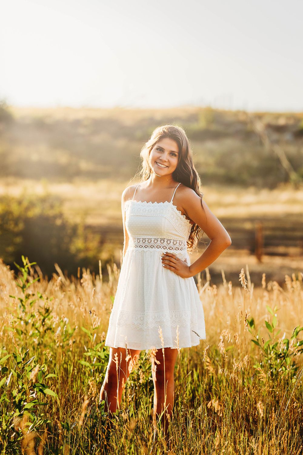 Wandering Willow Imagery