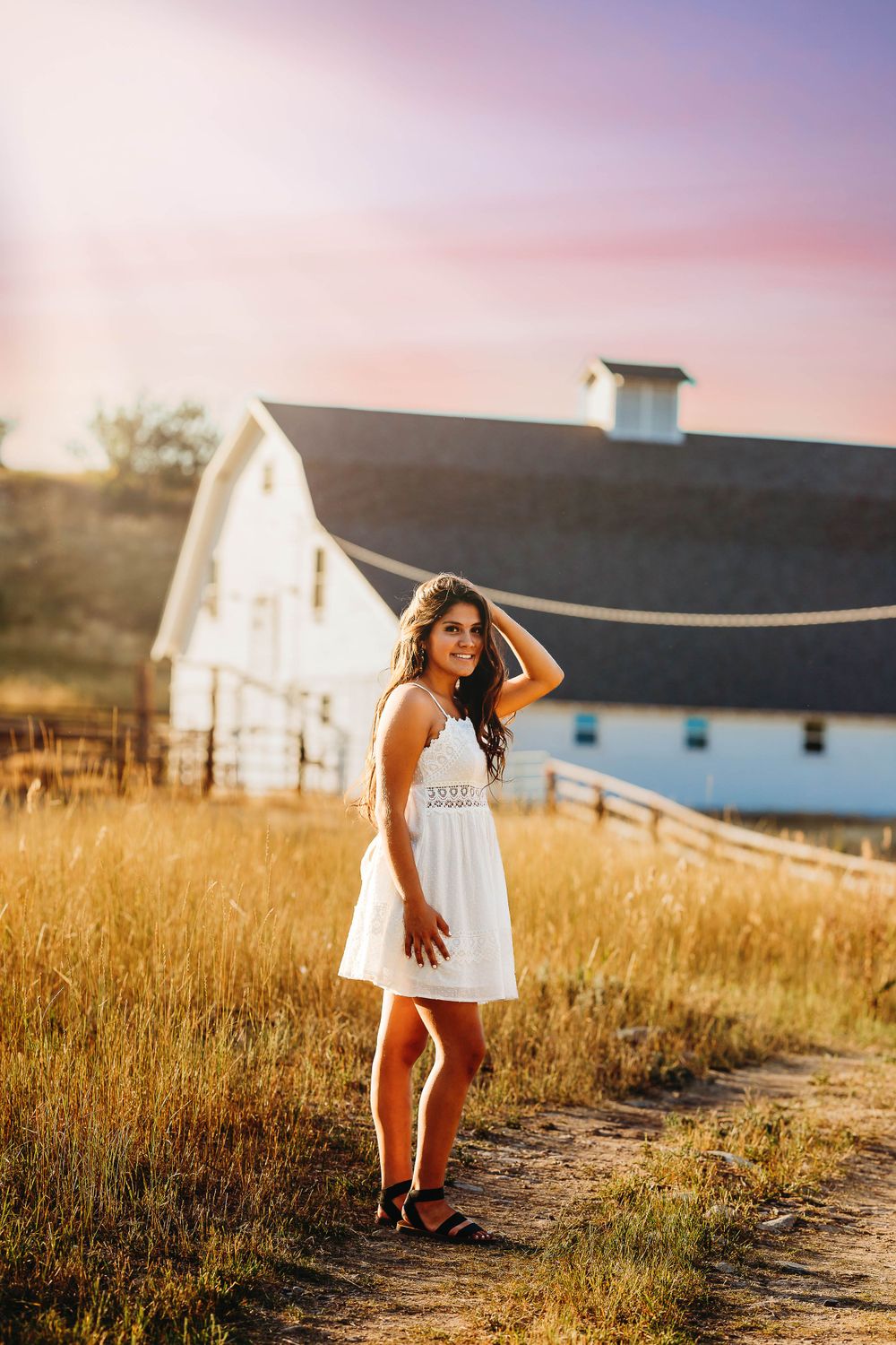 Wandering Willow Imagery