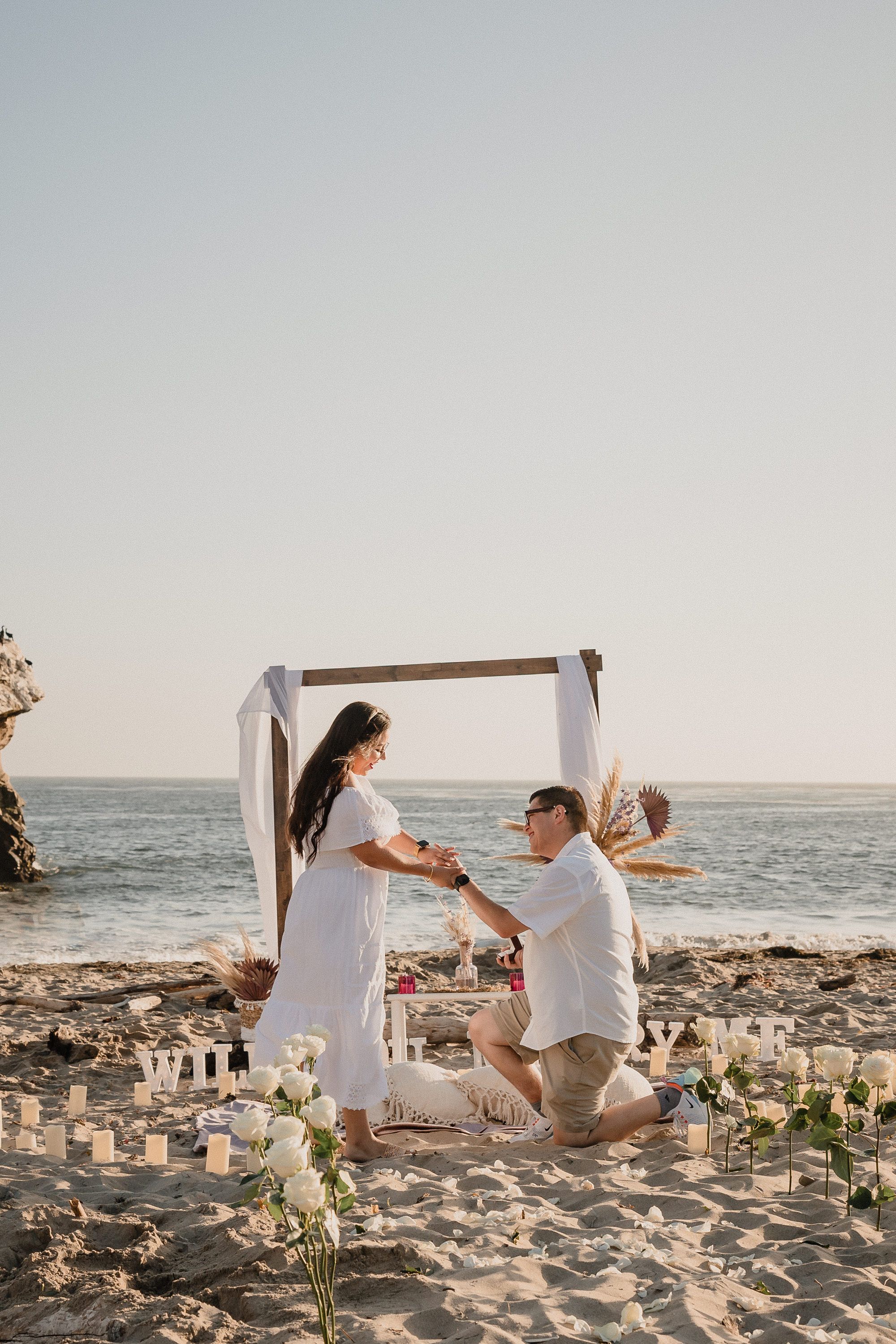 Santa Cruz Beach Wedding Proposal - Abigail & Edgar - Lorenzo Tinoco ...