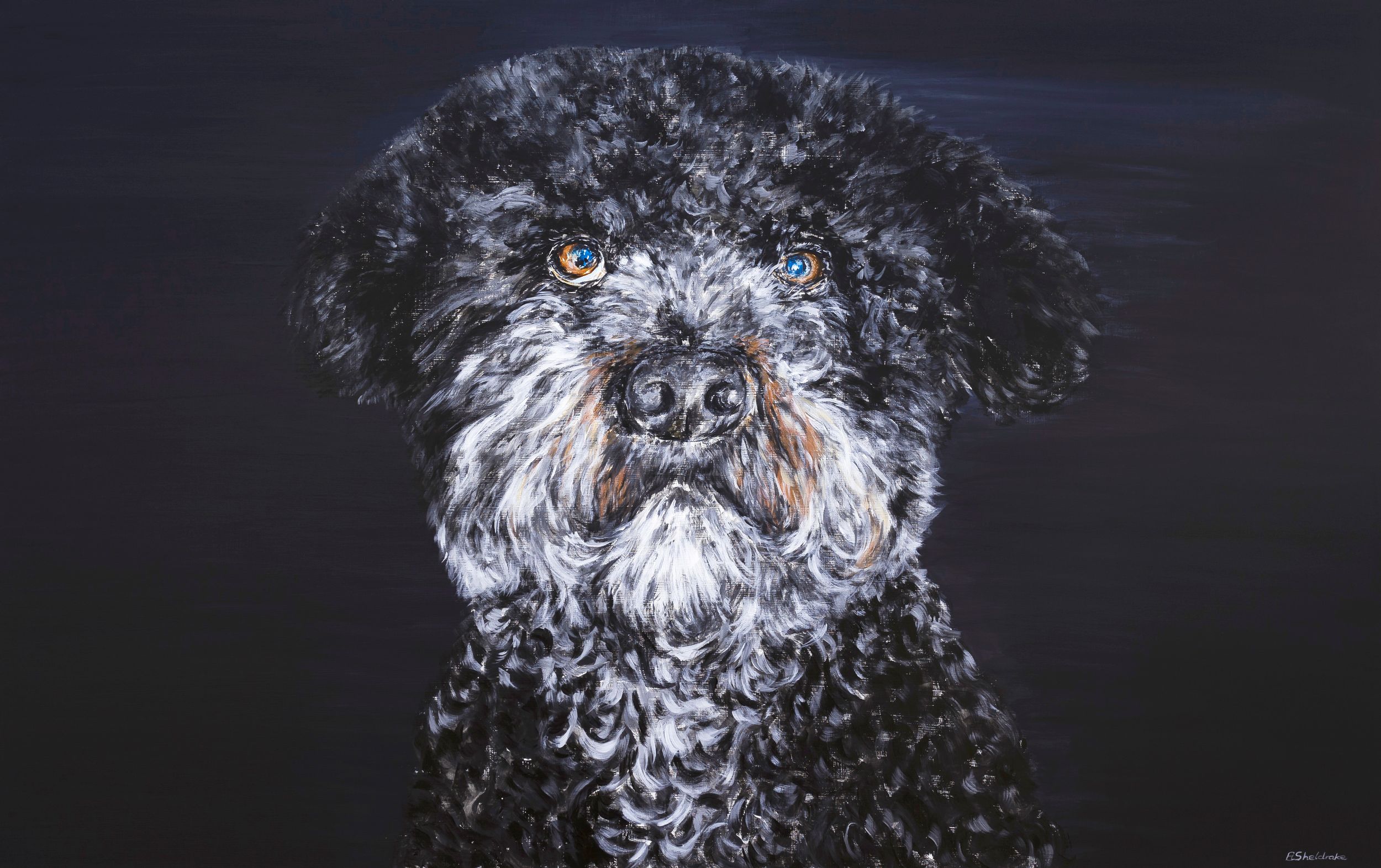 Pet Portraits - Alyson Sheldrake