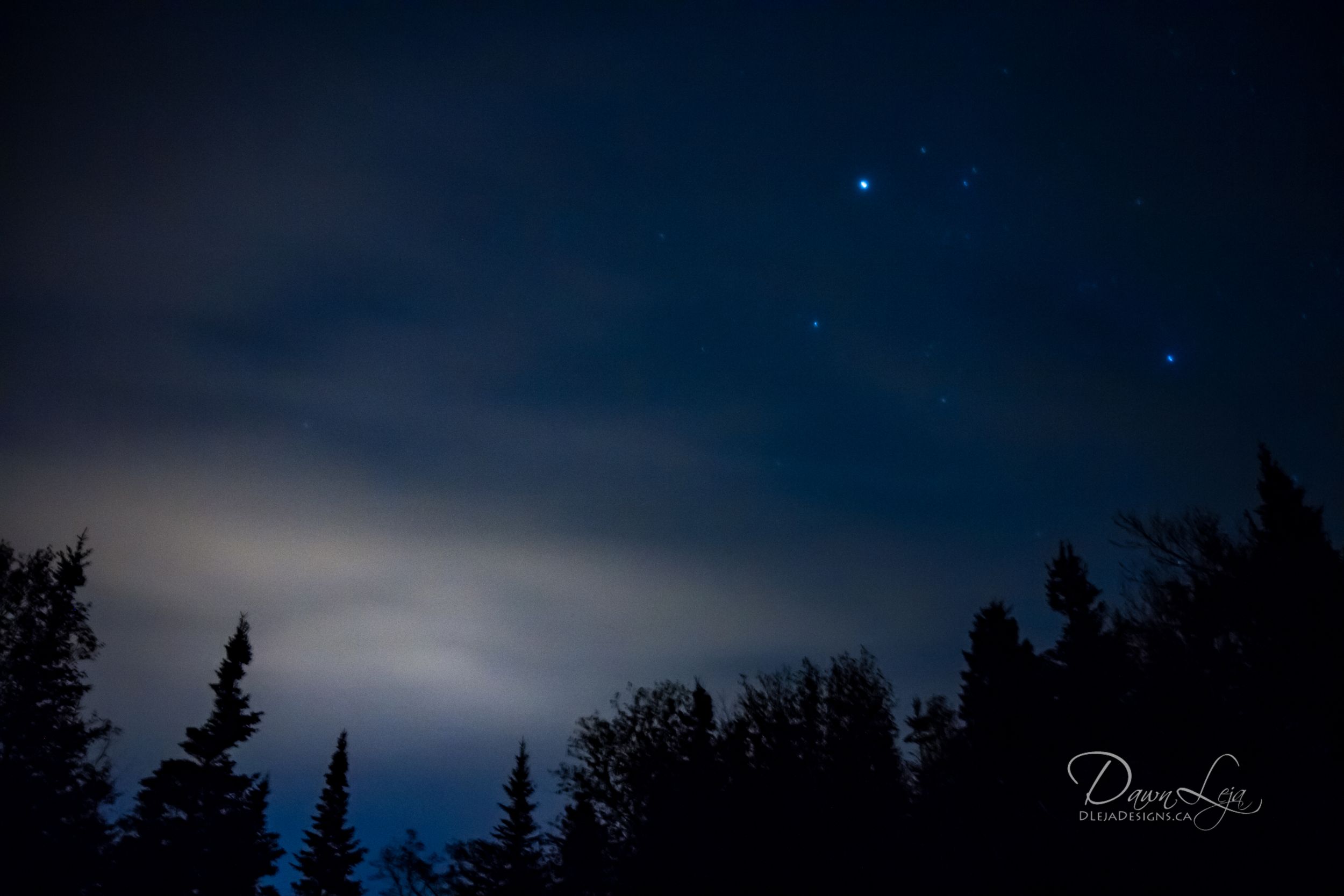 Dawn Leja Photography