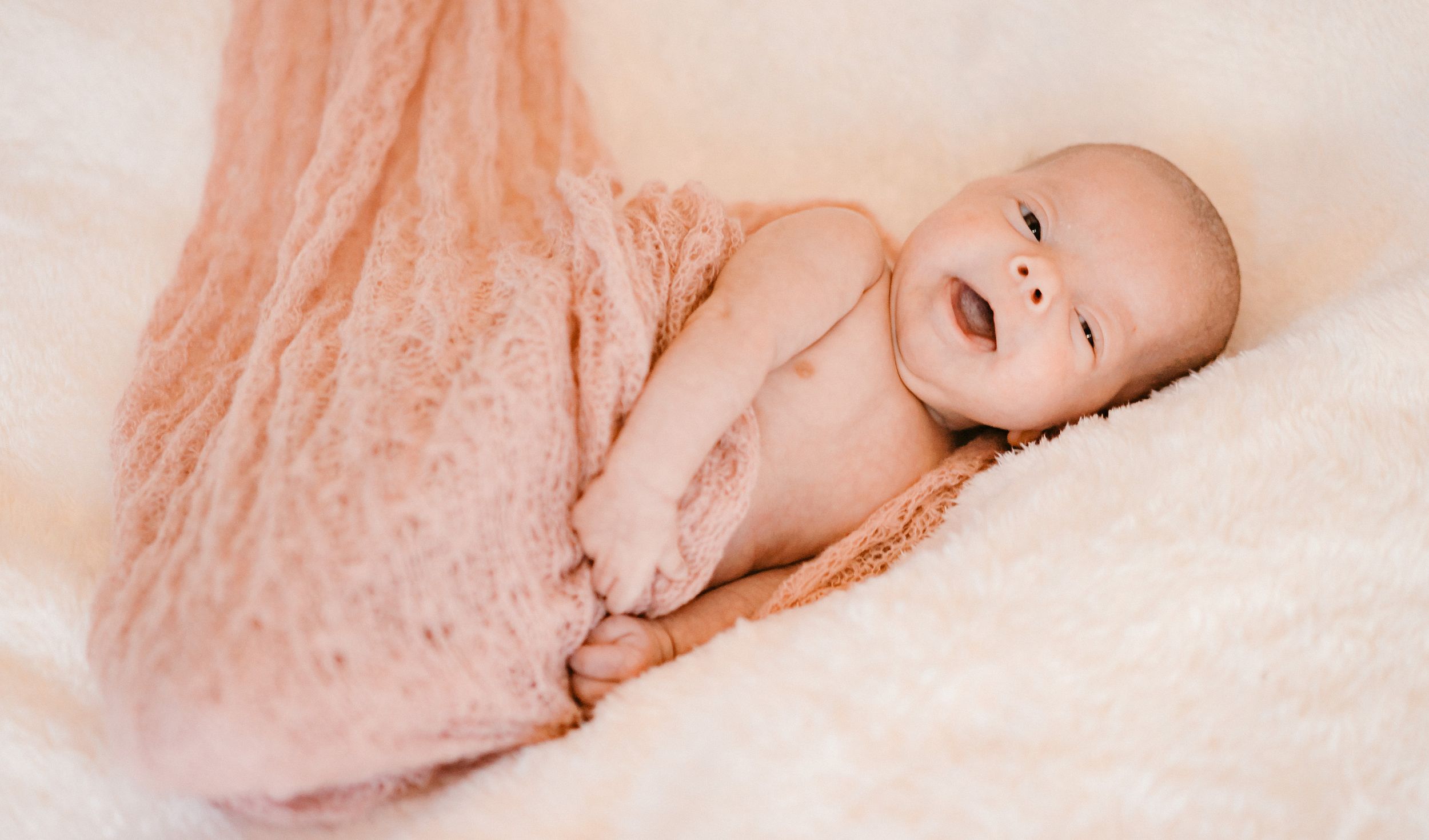 Will & Laura Sundquist Bay Area New Born Photographers Reveal the Five ...