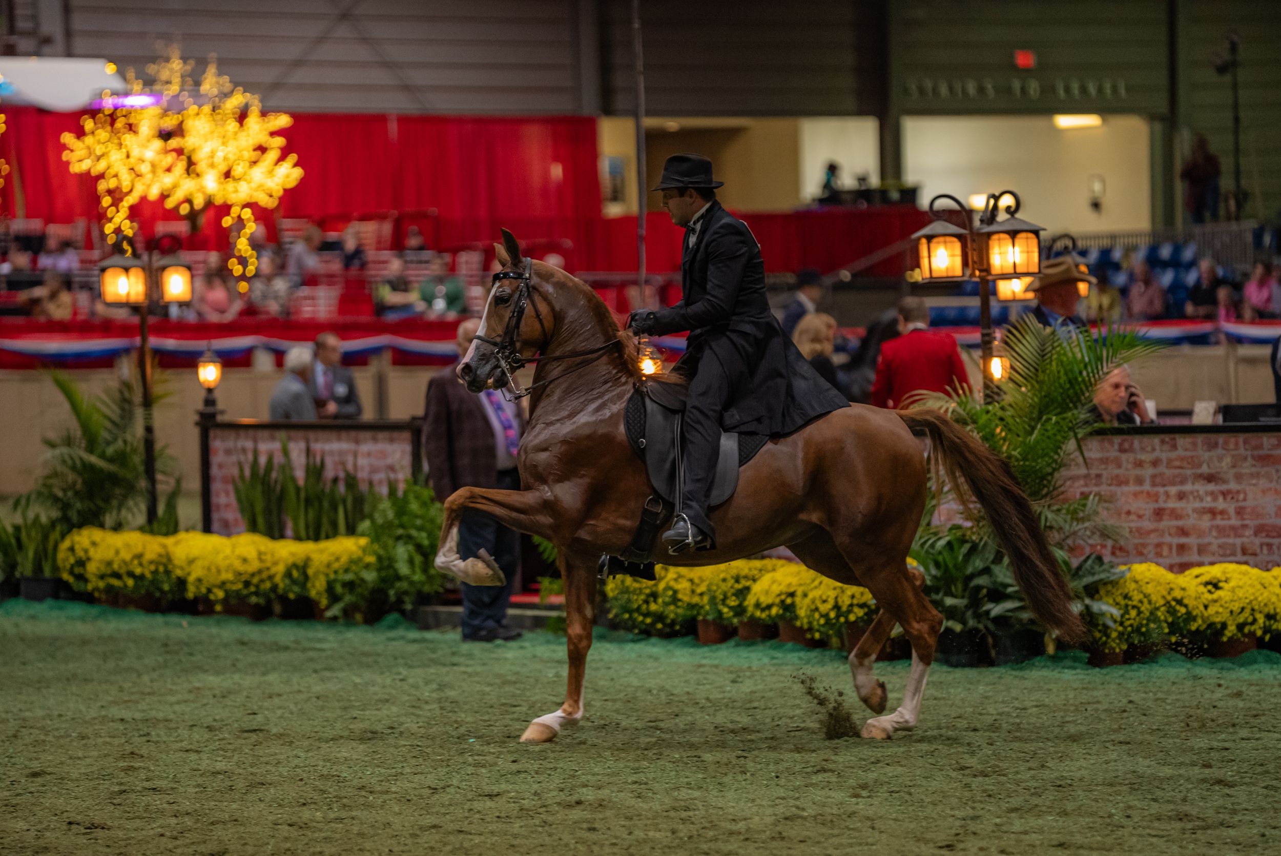 Jordan Pike Photography