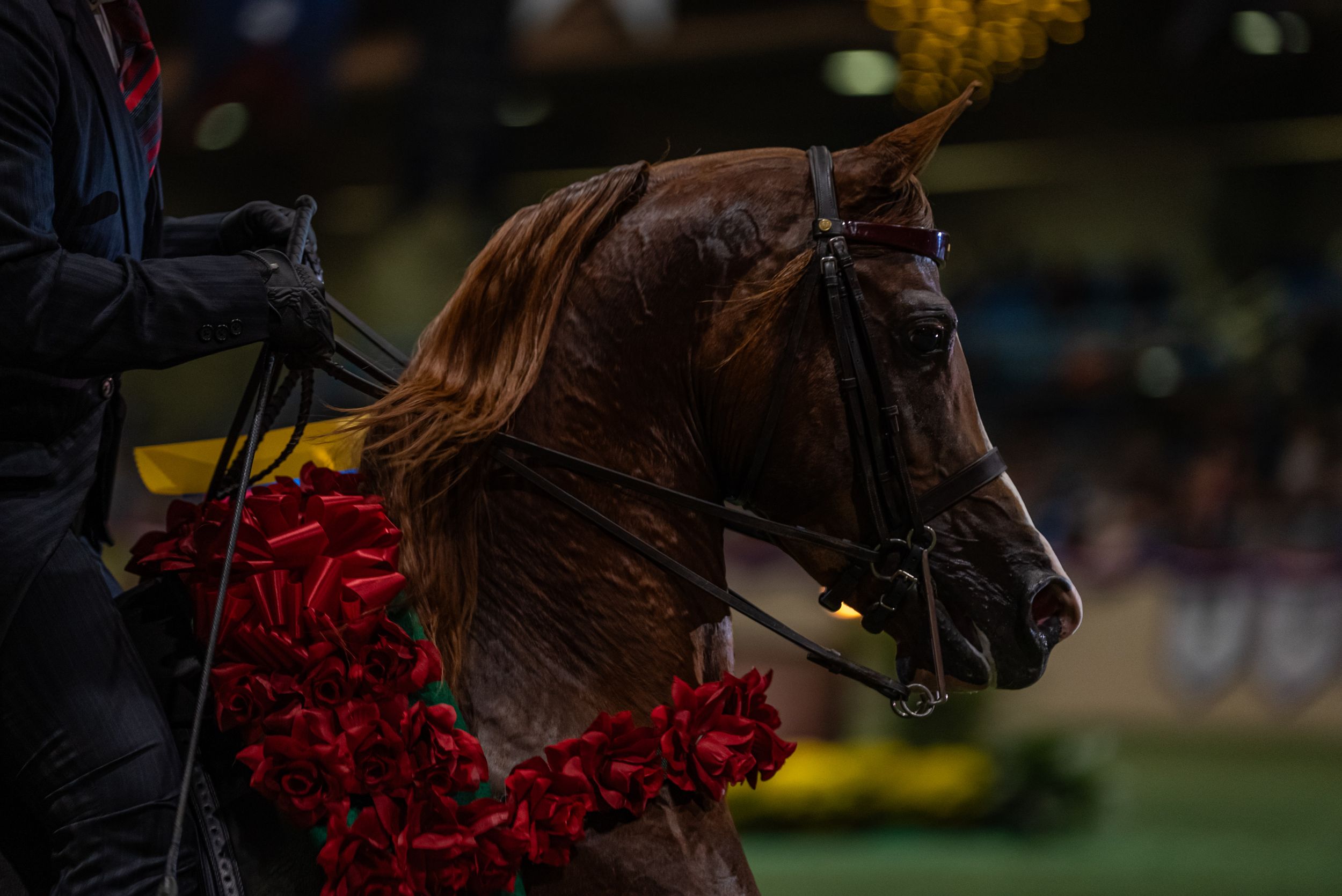 Jordan Pike Photography