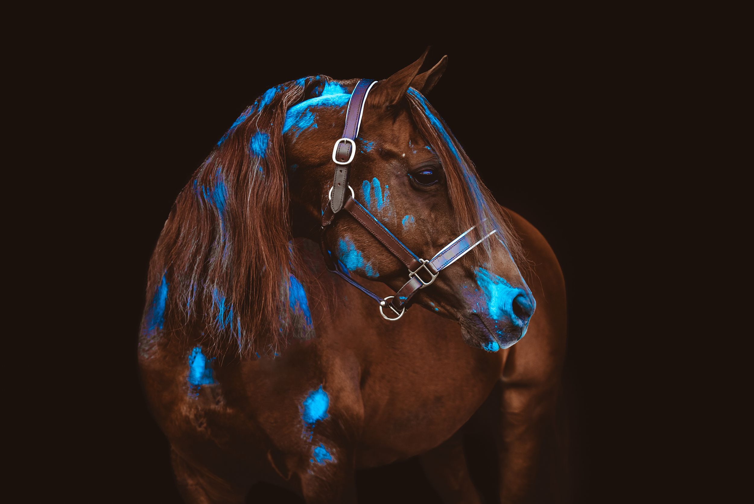 Jordan Pike Photography