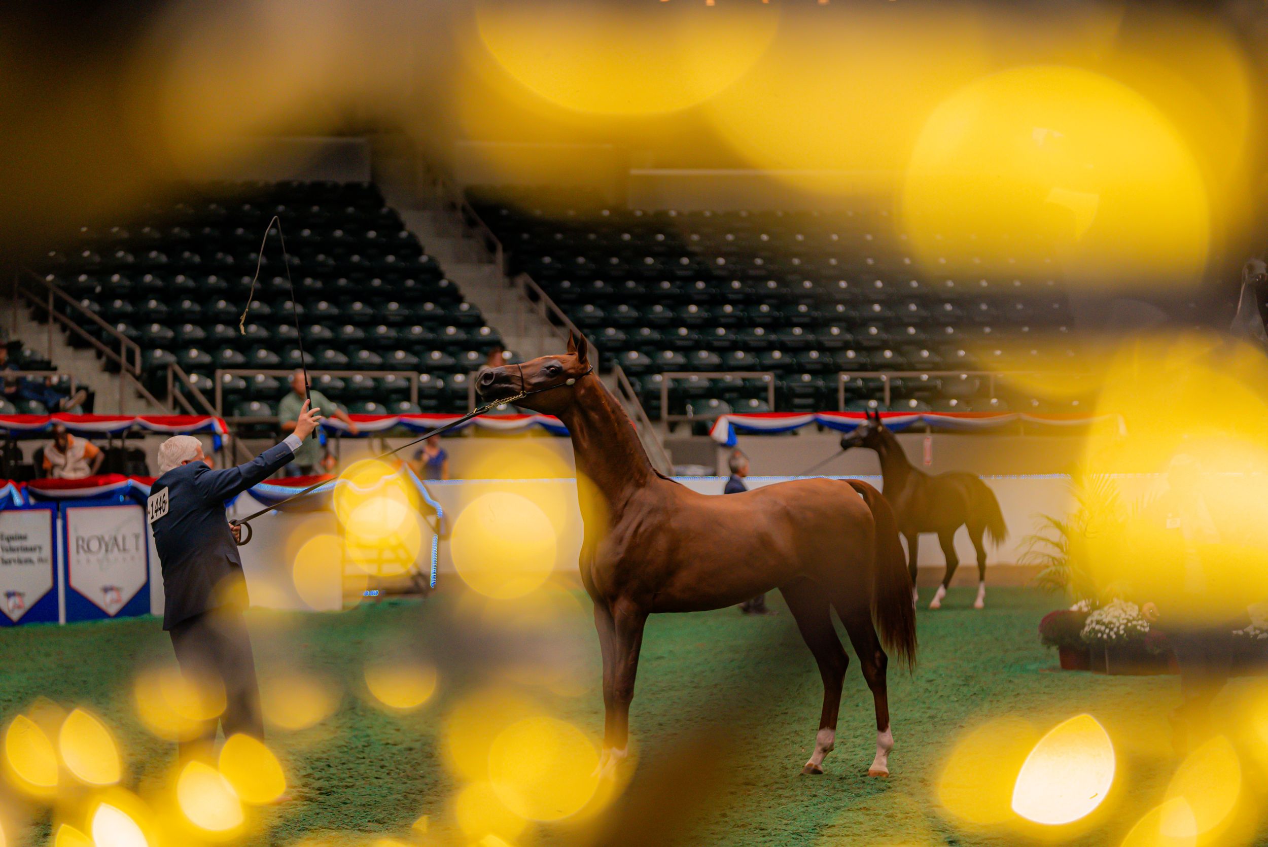 Jordan Pike Photography