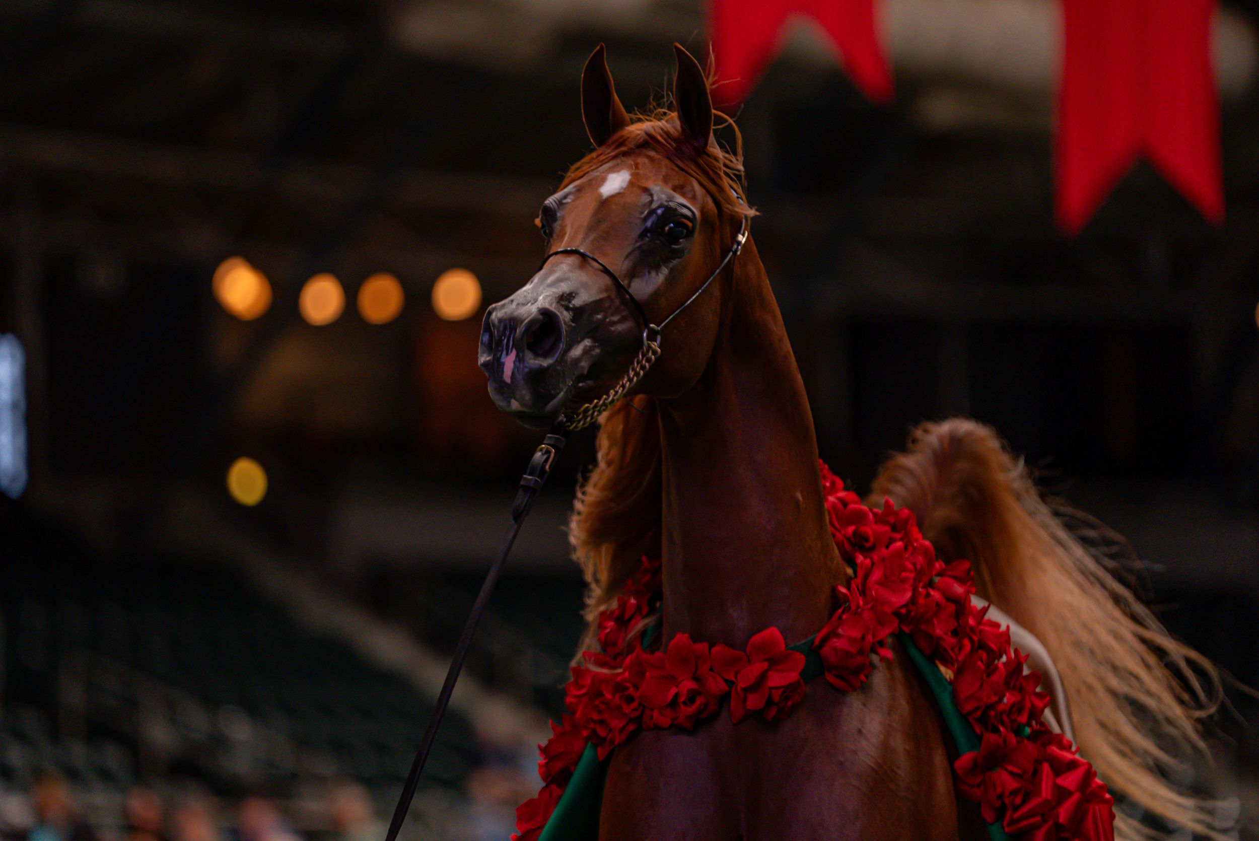 Jordan Pike Photography