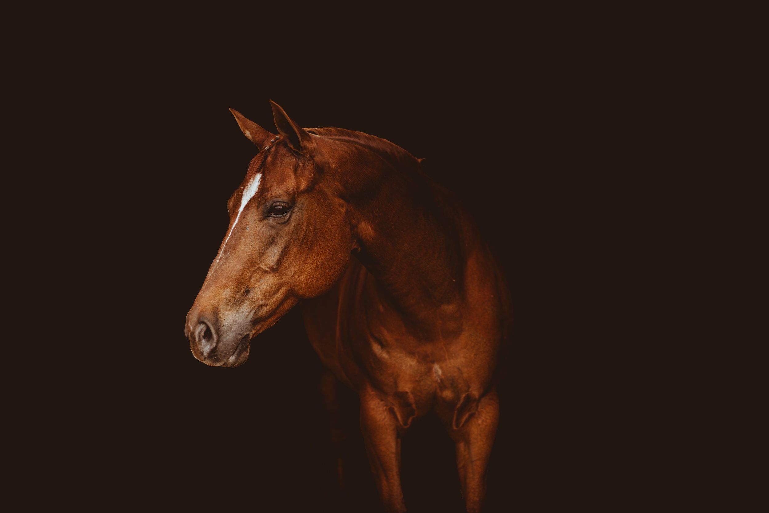 Jordan Pike Photography