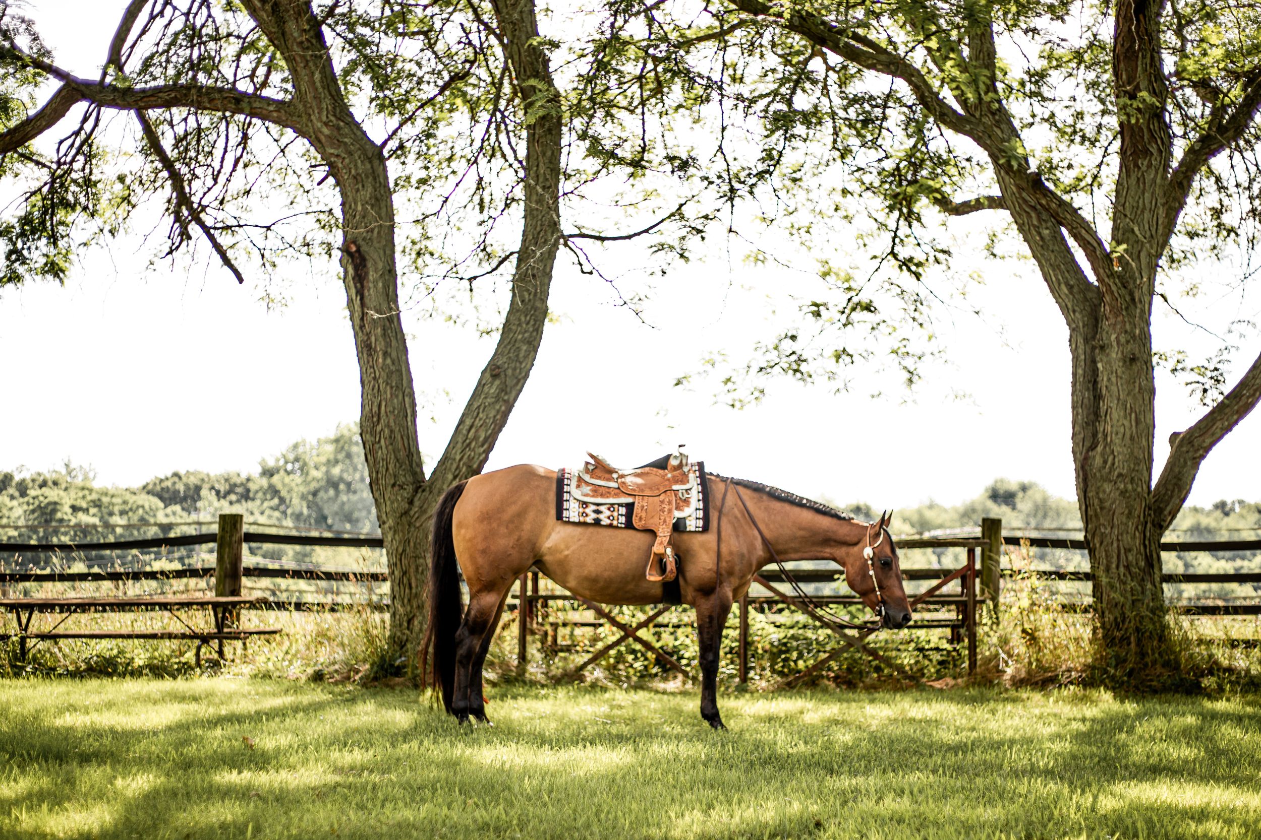 Jordan Pike Photography