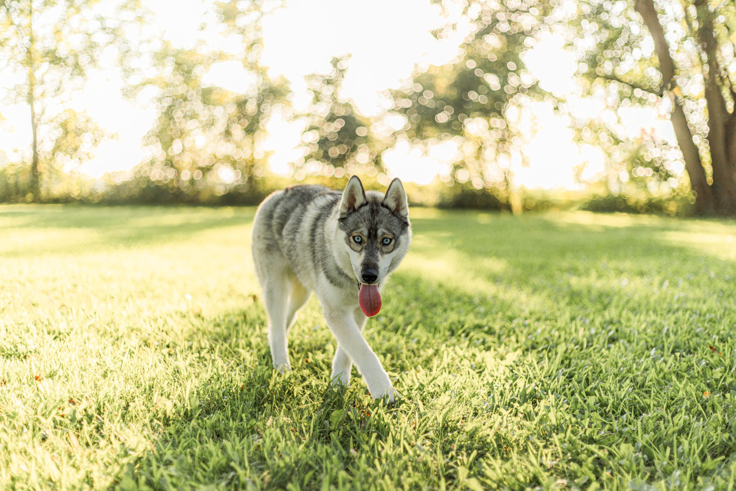 Jordan Pike Photography