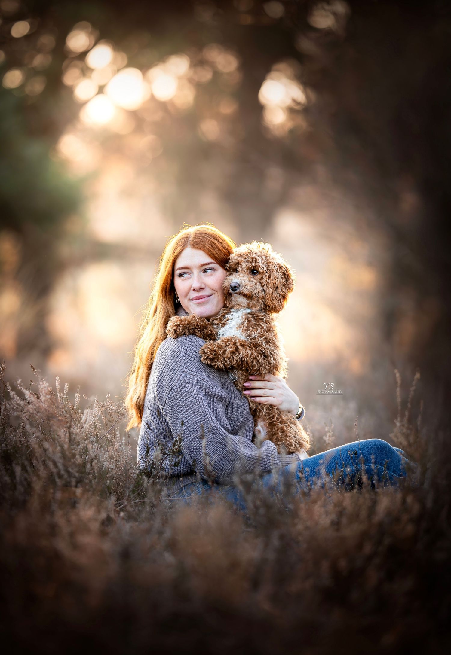 Hondenfotografie - YS Photography