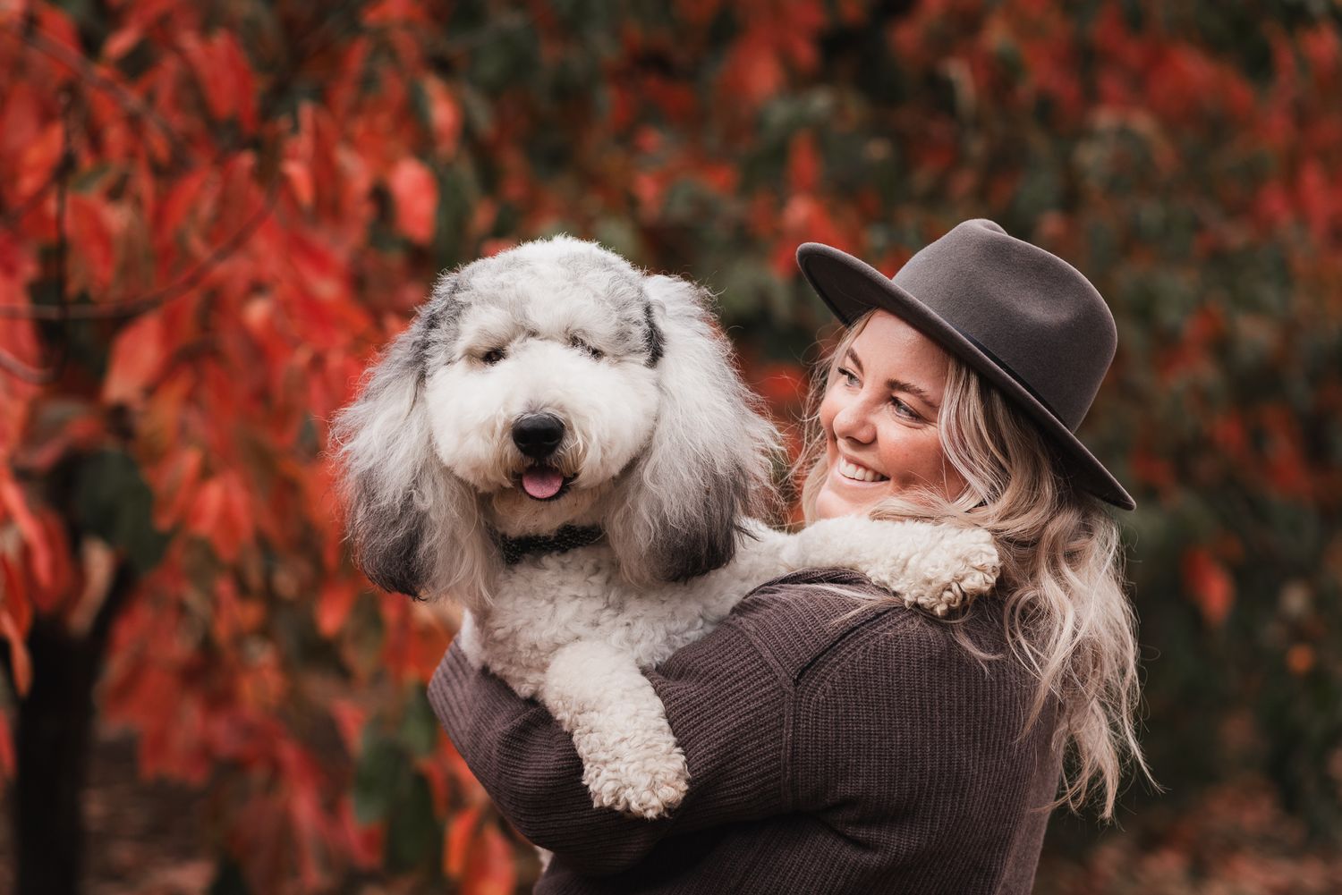 Perth Autumn Orchard Minis - Salty Paws Photography