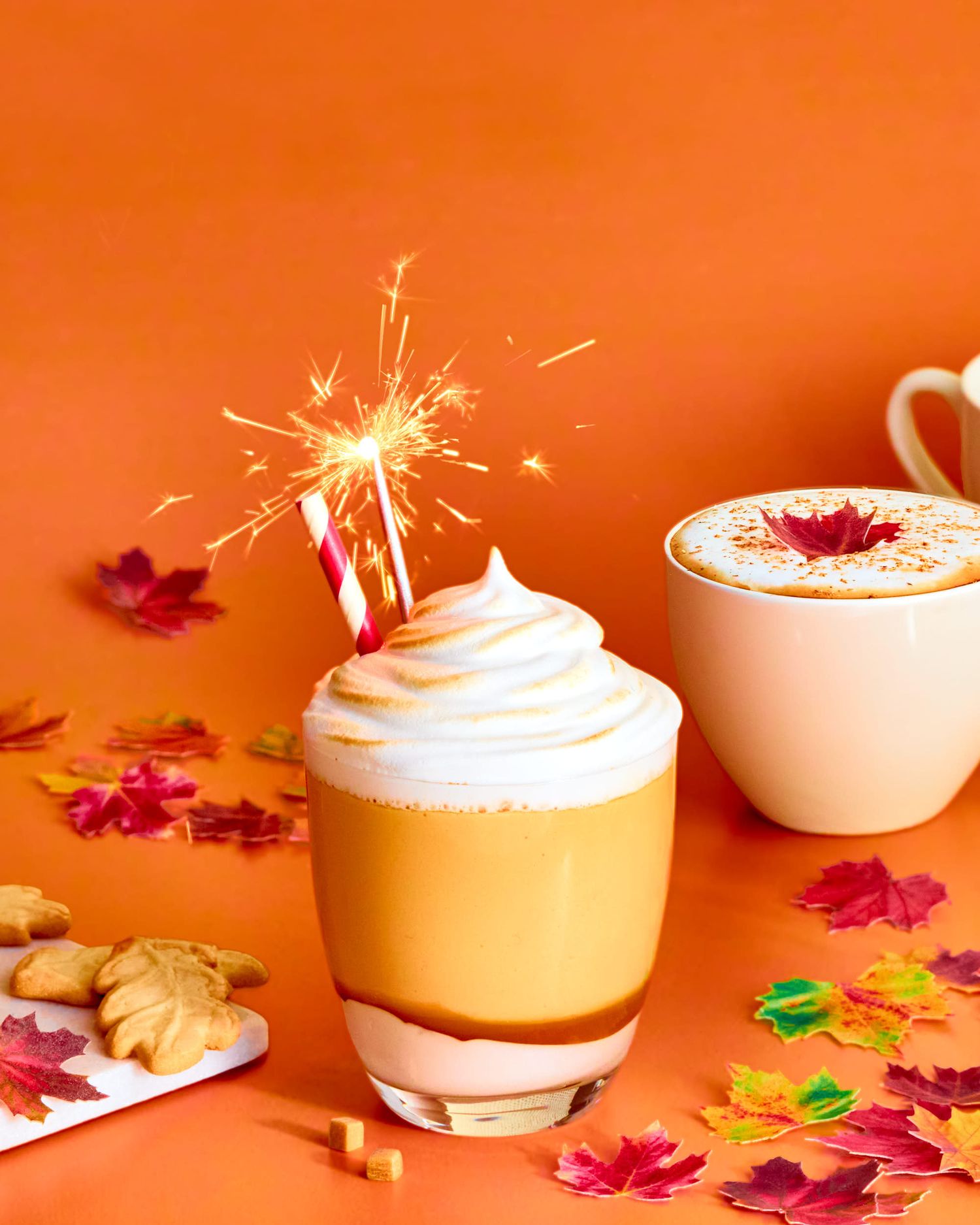 Seasonal autumn coffee shop photography - Nancy Anne Photography