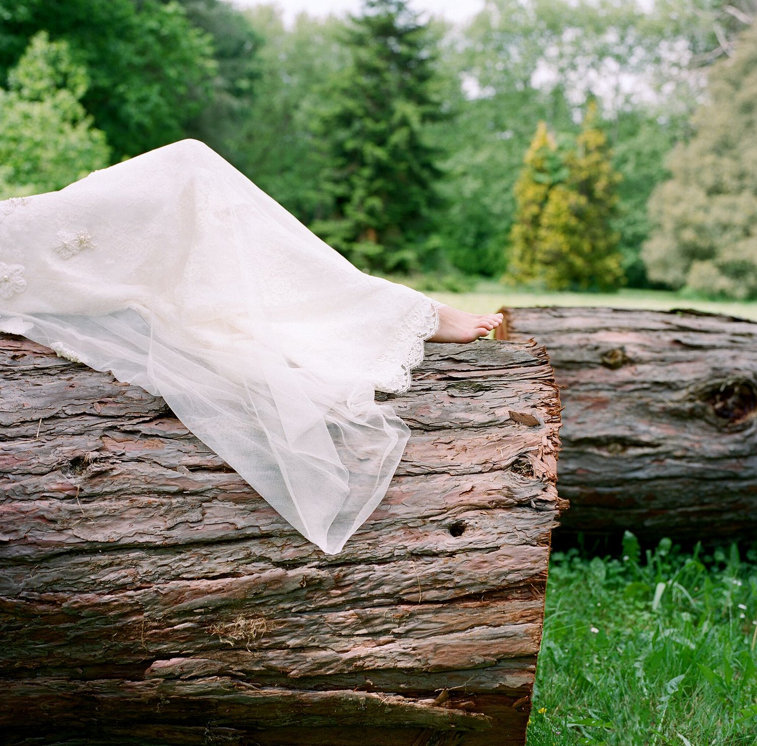 Portfolio - Yvette Roman Photography