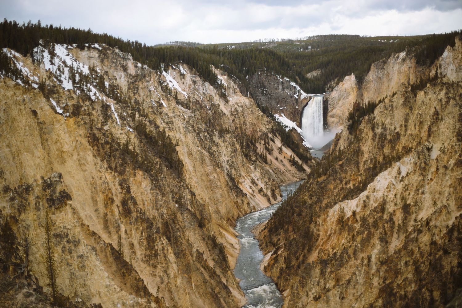 Portfolio - The Zen Lens