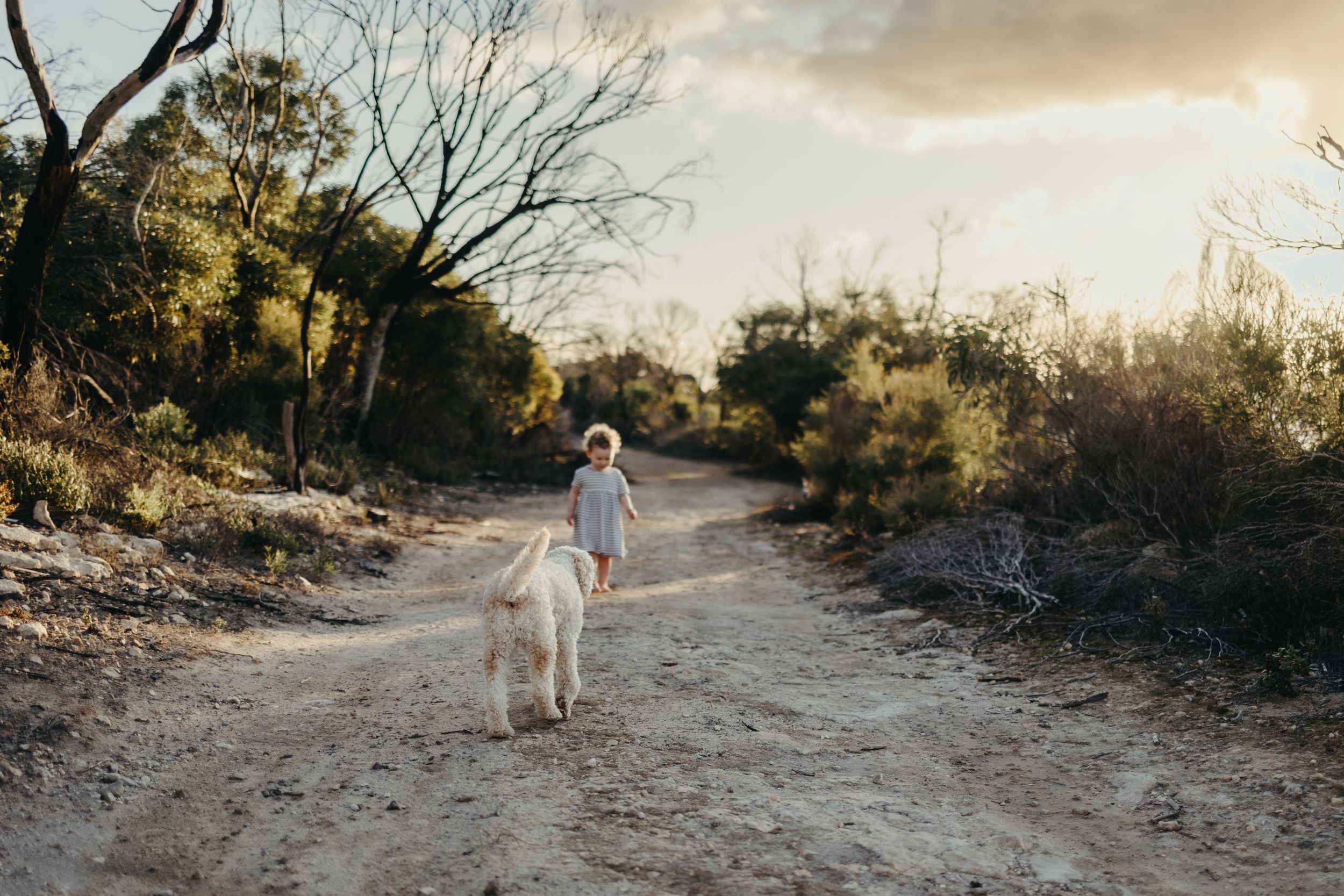 Chanelle Jane Photography