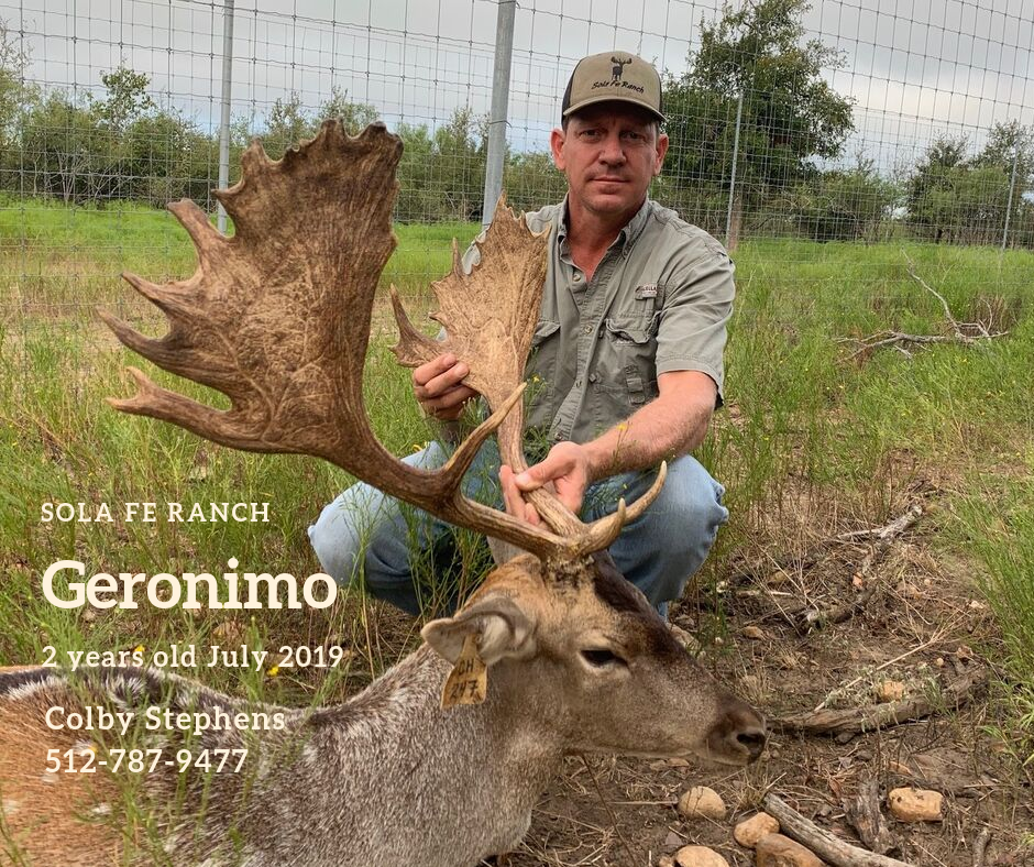 Fallow Breeders - Sola Fe Ranch