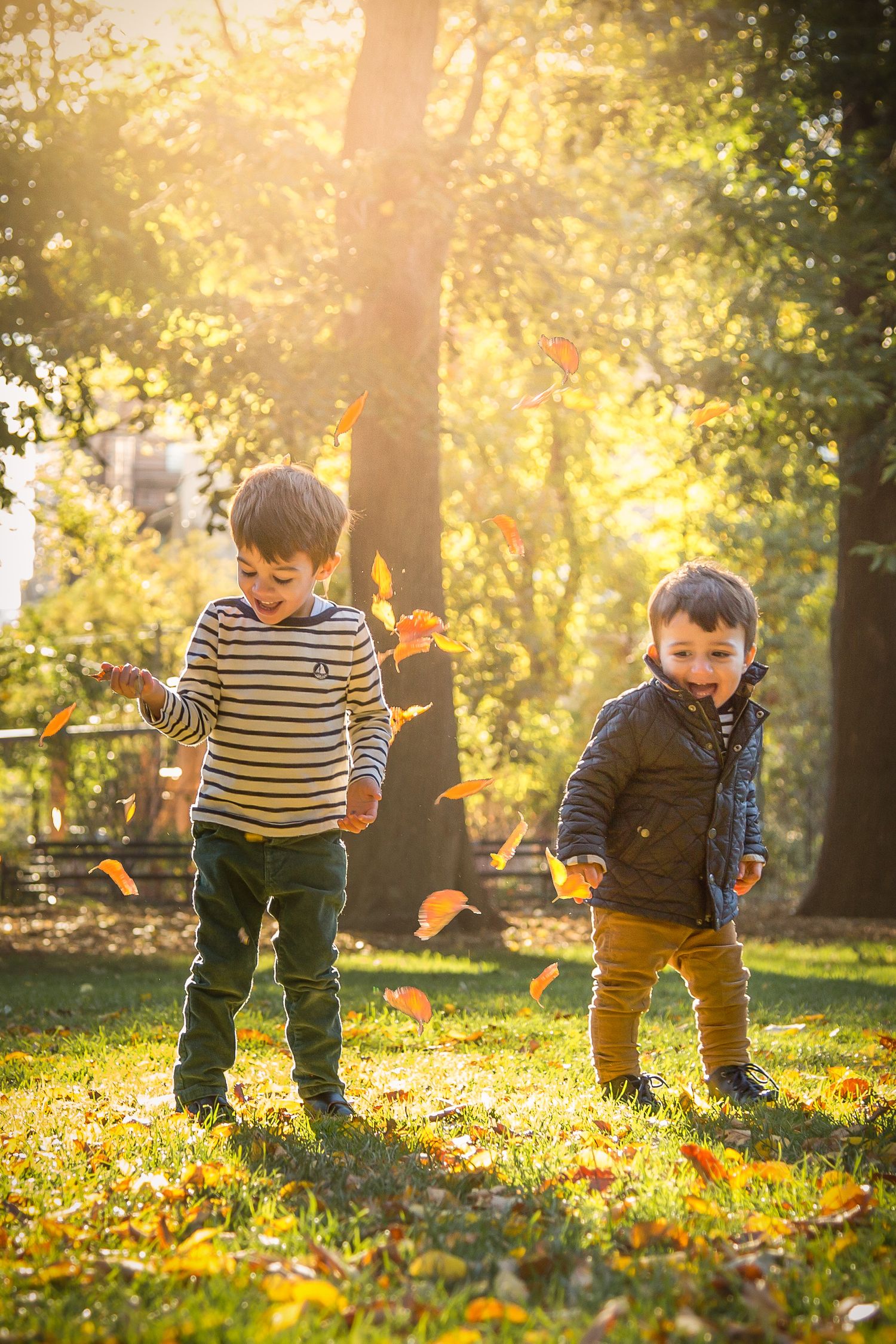 Contact - Paper Crane Photography