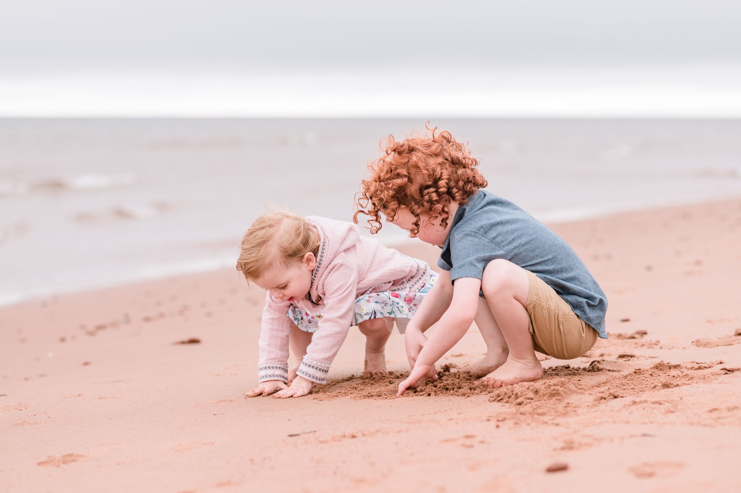 Amy Patterson Photography