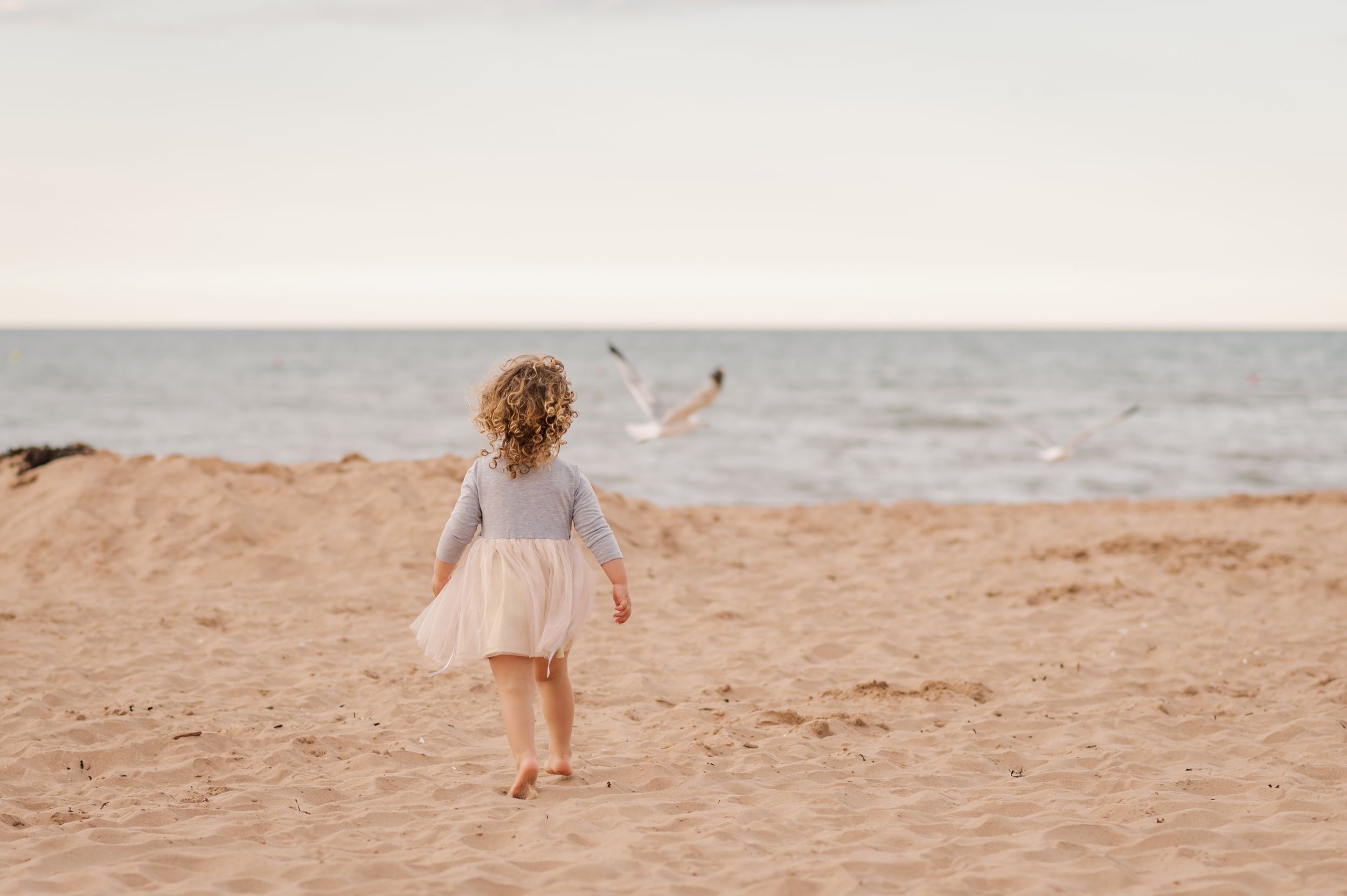 Amy Patterson Photography