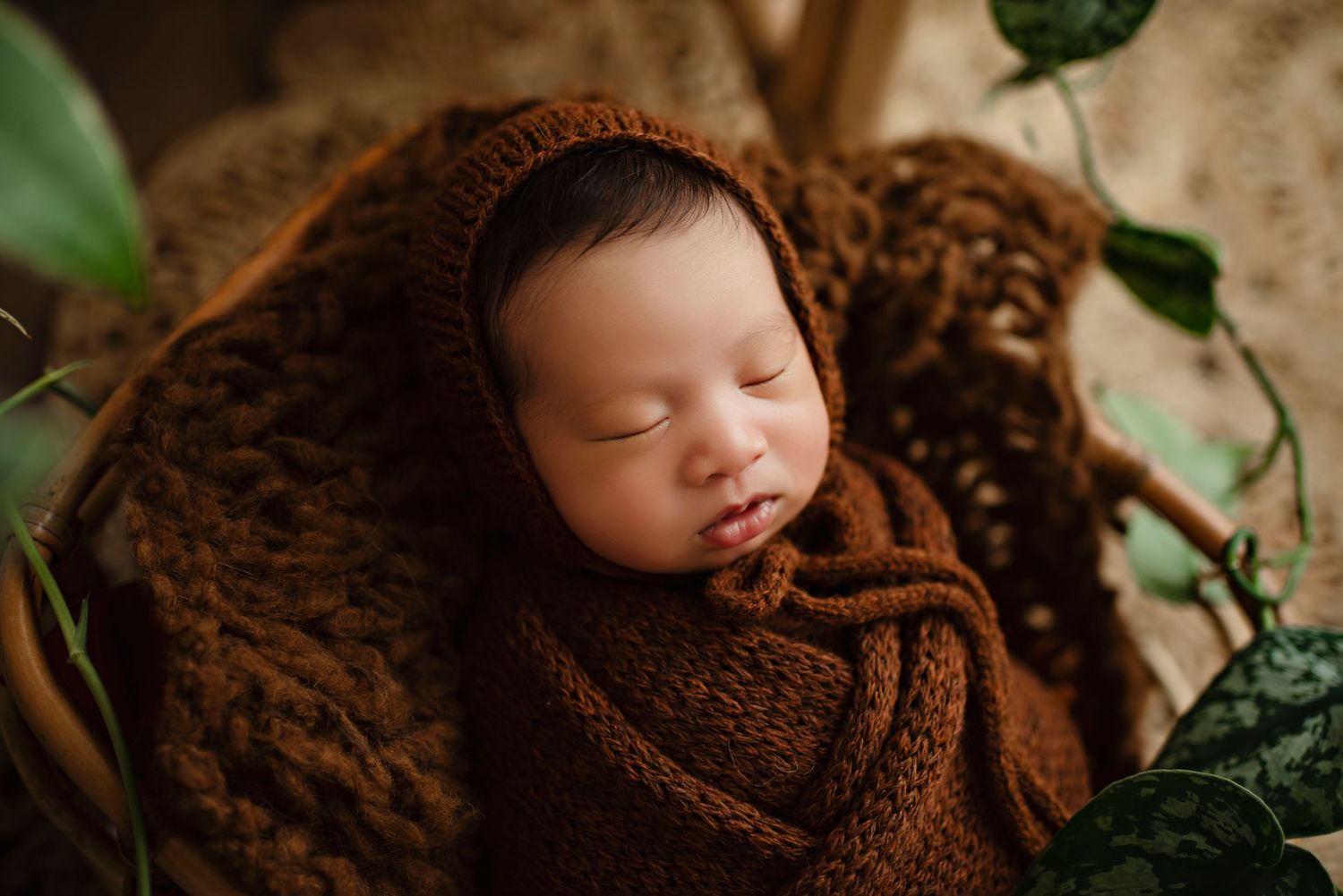 Christie Ann Photography