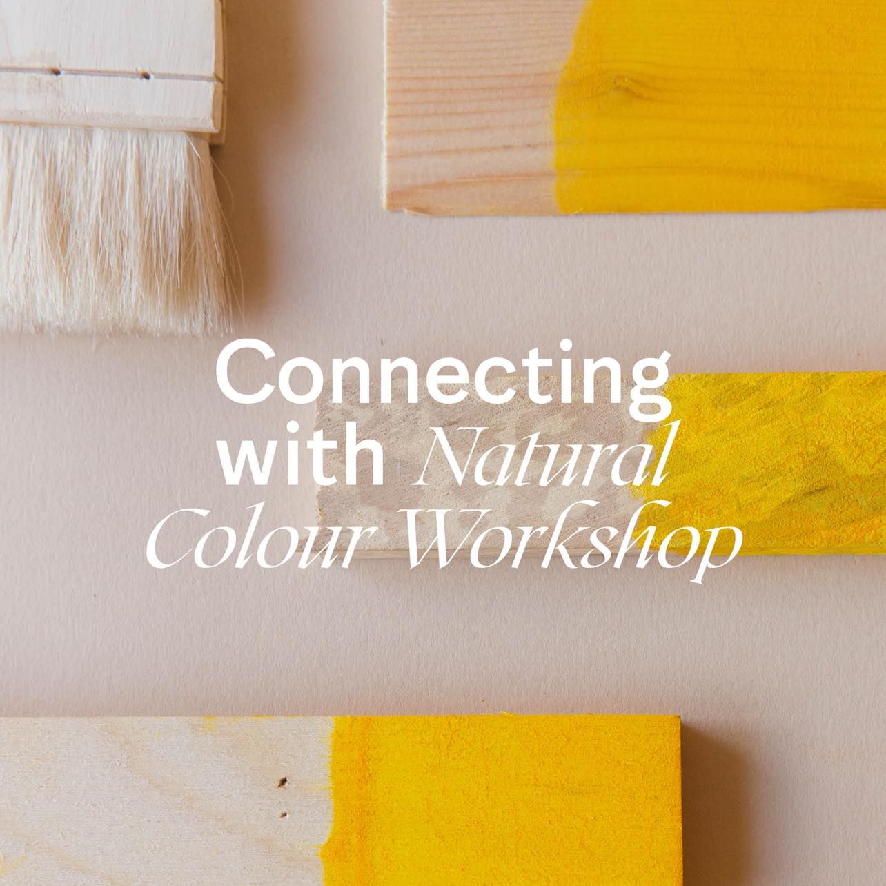 Natural Dye Workshops - Alice Burnhope