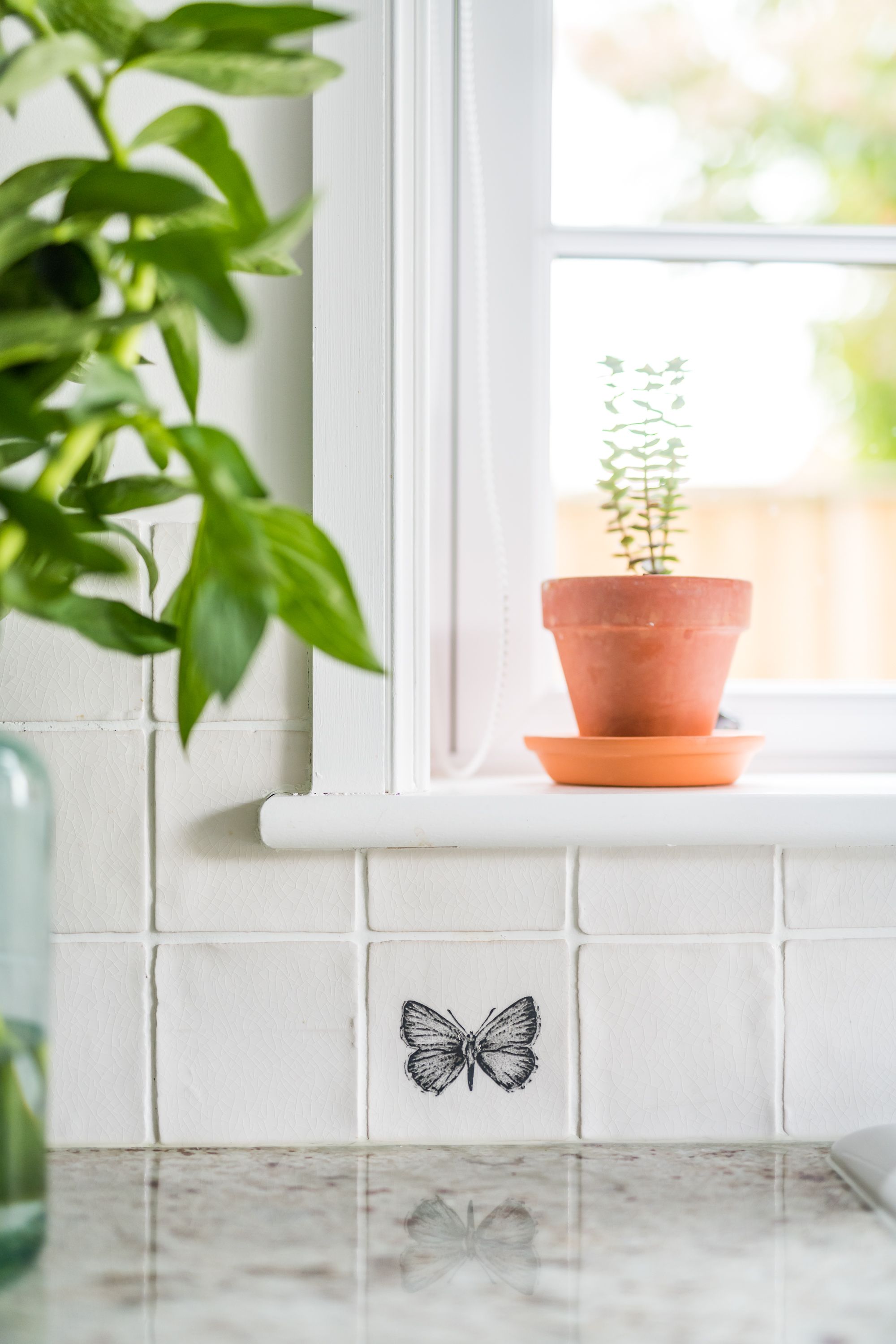 Tony Ellis Photography